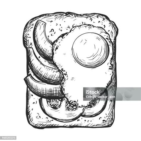스케치 잉크 그래픽 토스트 일러스트레이션 드래프트 실루엣 그리기 흰색 라인 아트에 검정 맛있는 빈티지 에칭 음식 디자인 검은색에 대한 스톡 벡터 아트 및 기타 이미지