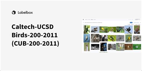 Caltech Ucsd Birds 200 2011 Cub 200 2011