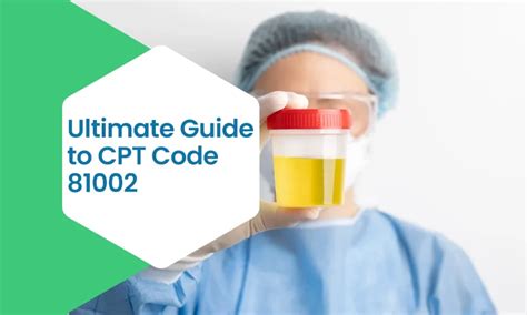 Cpt Code 81002 Description Examples And Reimbursement Guide