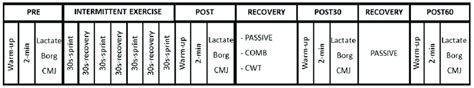 Schematic View Of A Testing Session Cmj Counter Movement Jump Download Scientific Diagram