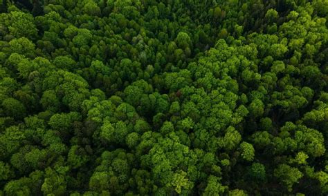 The Power Of Sustainable Logistics Partnerships Bow Distribution