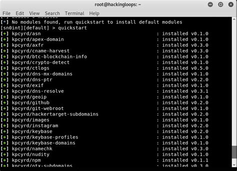 how to investigate targets through sn0int osint framework