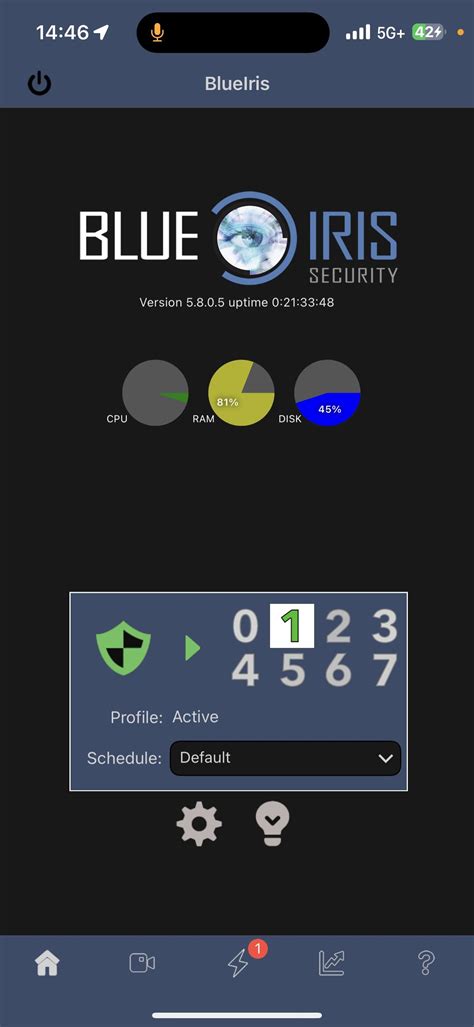 High Ram Usage Rblueiris