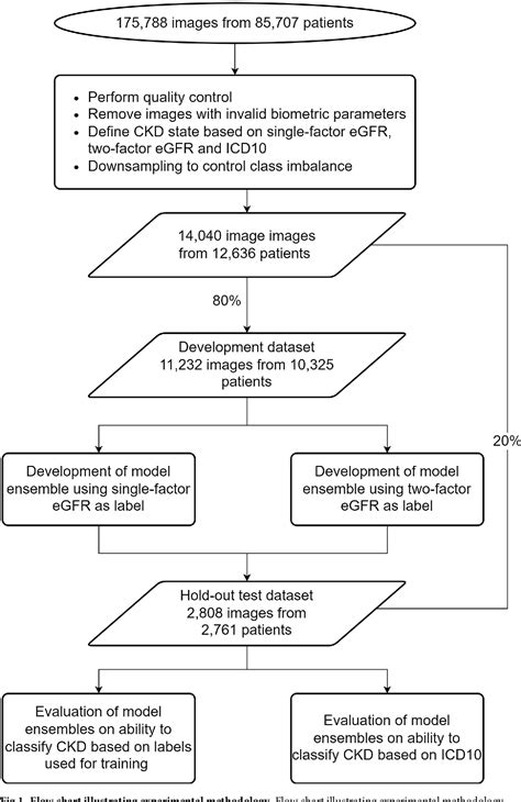Figure 1 From Examination Of Alternative Egfr Definitions On The Performance Of Deep Learning