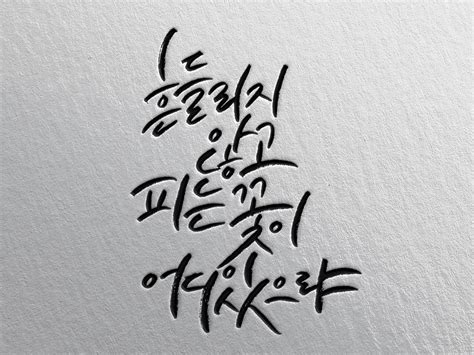 처음 배우는 캘리그래피 글씨체 기초 가이드
