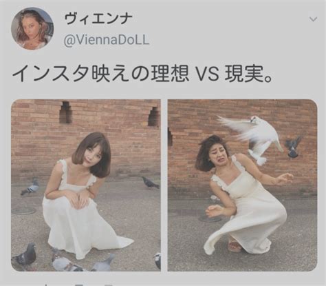 Ideal And Reality Album On Imgur