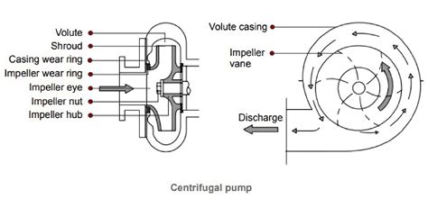 Centrifugal Pump The Important Point You Must Know Brightmariner