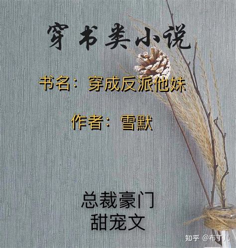 书名：穿成反派他妹 作者：雪默 知乎