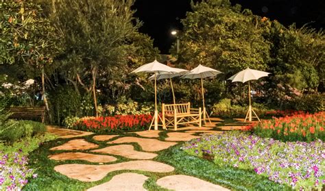 5 Energy Efficient Landscaping Tips Global Green