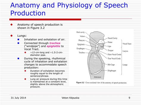 PPT Speech Processing PowerPoint Presentation Free Download ID