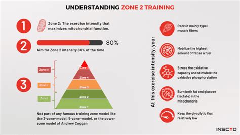 Zone Training Benefits Science And How To Guide