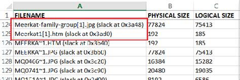 I30 Files In The IE Cache Folders Reveal Filenames To Help Identify Download Scientific