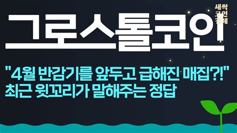 그로스톨코인 4월 반감기를 앞두고 급해진 매집 최근 윗꼬리가 말해주는 정답 그로스톨코인시세 그로스톨코인전망 그로스톨코인호재 Youtube