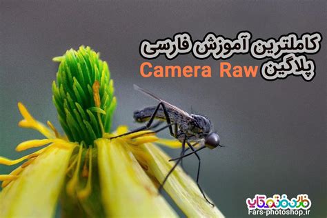 آموزش جامع پلاگین کمرا راو Adobe Camera Raw فارس فتوشاپ پکیج های رایگان فتوشاپ