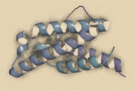 Interleukin 4 Il4 Cytokine Protein 3d Illustration Premium Photo