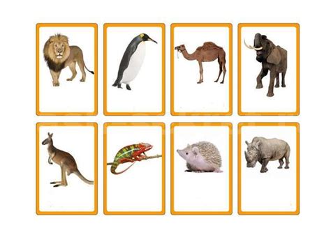 Обучение чтению дошкольников в игровой форме Дети Животные Картинки домашних животных