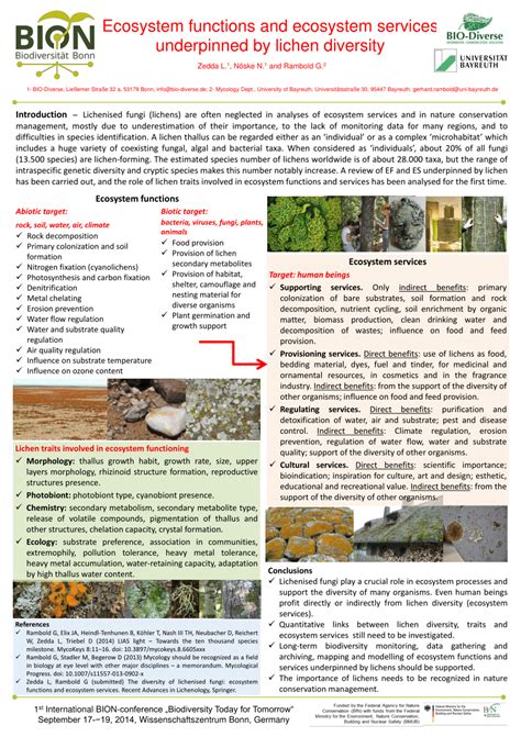 PDF Ecosystem Functions And Ecosystem Services Underpinned By Lichen Diversity