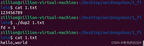 Linux 1文件编程(dup、dup2) Linux 1文件编程(dup、dup2)