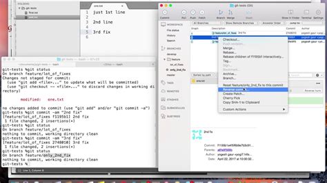 Git Cherry Pick With Sourcetree In 2 Min Youtube