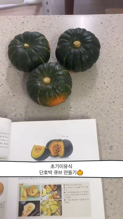 단호박 큐브 만들기🎃 초기이유식 단호박큐브 이유식식단 단호박이유식 간단이유식 브레짜이유식 이유식손질법 단호박미음 Youtube