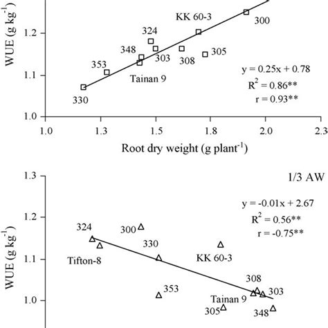 Relationship Between Water Use Efficiency Wue G Kg S1 And Root Download Scientific Diagram