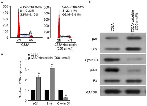 Baicalein Blocked C33a Cell Cycle A C33a Cell Cycle Determined By
