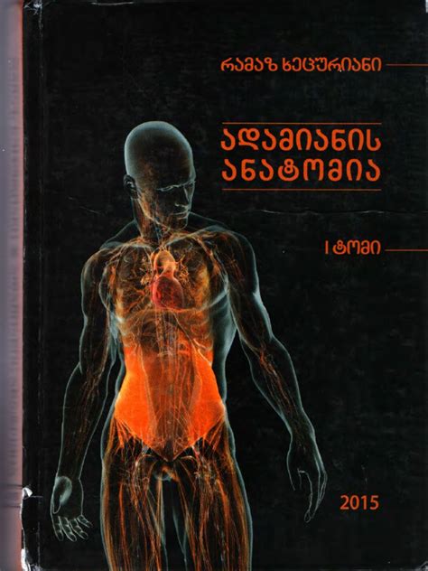 ადამიანის ანატომია რ ხეცურიანი I ტომი Pdf Pdf