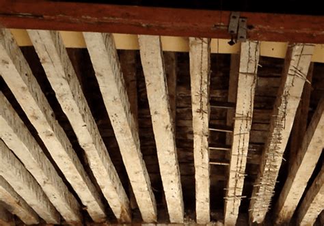 Cómo Reforzar Un Forjado De Madera Antiguo Tenemos Madera