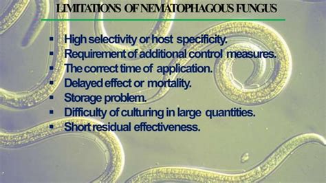 Biological Control Of Nematodes By Fungus Ppt