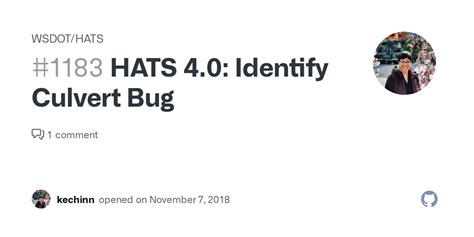 hats 4 0 identify culvert bug · issue 1183 · wsdot hats · github