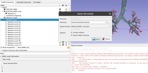 Binary Segmentation Mask To Centerline Polydata Using A Python Script