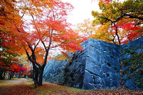 歴史と文化が感じられる街、盛岡市を紅葉が彩る年に一度のベストシーズン つなぐ旅〜東日本〜 ひがしにほんトラベルガイド