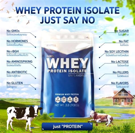 Изолят Сывороточного Протеина без сахара и лактозы MATELL 100% Whey ...