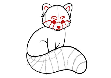 How To Draw A Red Panda Design Babe