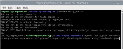 Raspberry Pi Ai Kit Custom Model Deployment