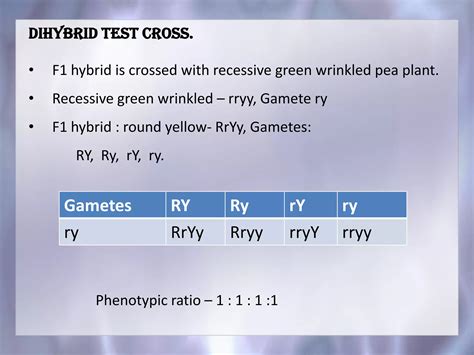 Principles Of Inheritance Class 12 CBSE PPTX