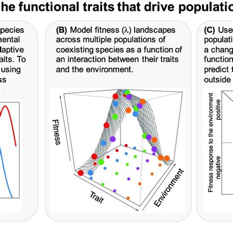 Identifying The Functional Traits That Drive Environmental Effects On