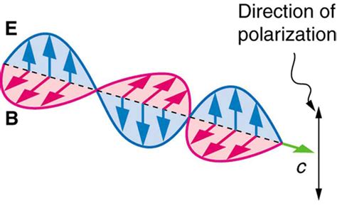 128 Polarization Douglas College Physics 1207