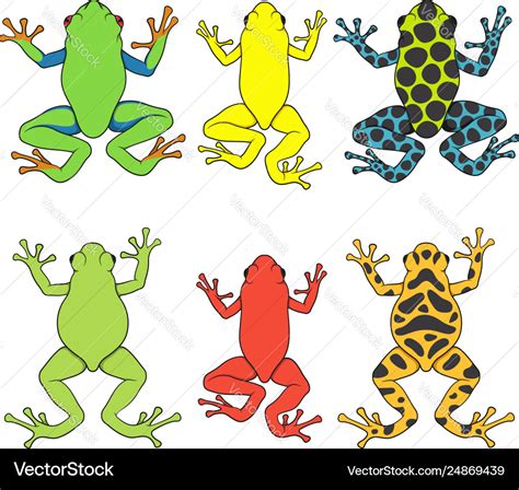 Set Color With Tropical Tree Frog Royalty Free Vector Image