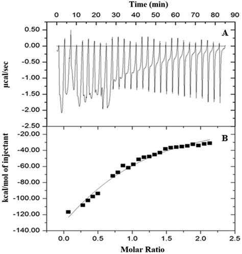 The Figure Represents Exothermic ITC Analysis Of DNA Binding By MMS Download Scientific Diagram