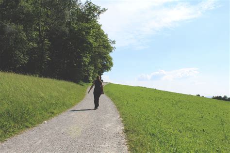 картинки трава поле лужайка луг прерия холм Зеленый сельское хозяйство Пастбище