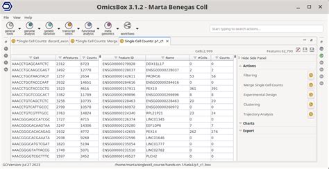 Starsolo Single Cell Quantification In Omicsbox 3 1 Rna Seq Blog