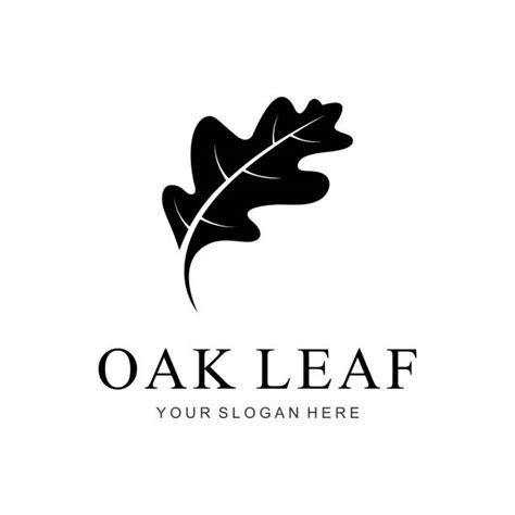 Oak Leaf Vector