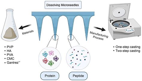 Fabrication Of Dissolving Microneedles For Transdermal Delivery Of