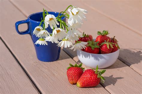 나무 배경에 밝은 하드 햇빛에 푸른 꽃병에 그릇과 카모마일 꽃 보케 정원 달콤한 빨간 딸기로 만든 여름 구성 0명에 대한 스톡 사진 및 기타 이미지 Istock