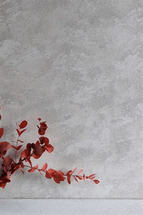 Купить декоративную штукатурку для внутренней отделки стен по доступной цене в Москве