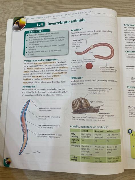 Cambridge Igcse Biology Textbook Hobbies And Toys Books And Magazines