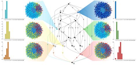 Random Architectures Aggregate Ensembles Of Paths This Creates A
