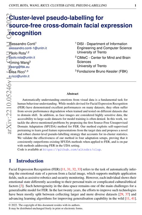 pdf cluster level pseudo labelling for source free cross domain facial expression recognition