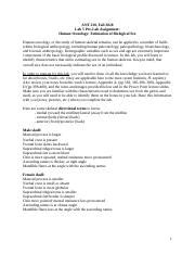 ANT 230 Fall 2020 Lab 5 Prep Docx ANT 230 Fall 2020 Lab 5 Pre Lab Assignment Human Osteology